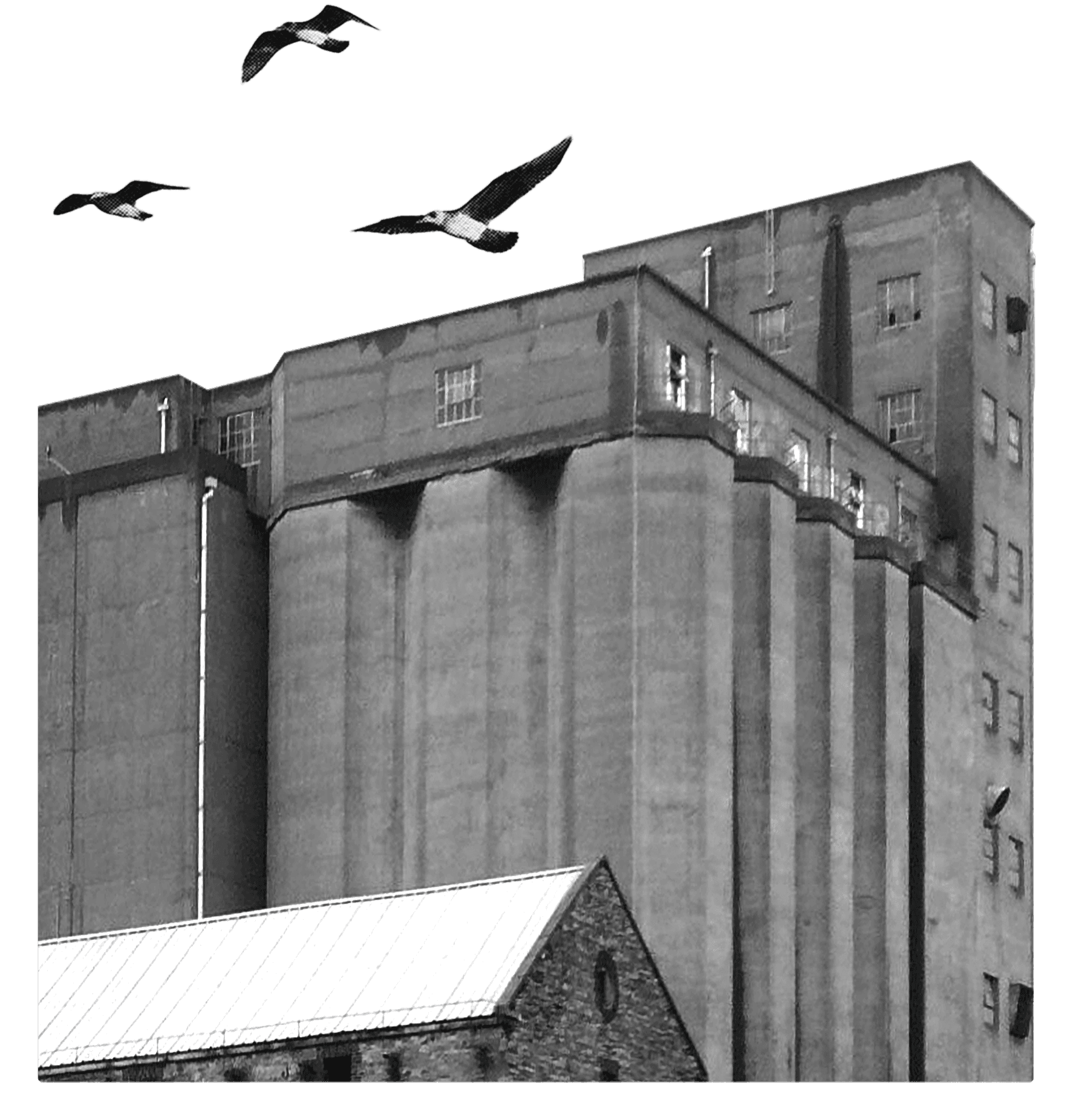 About Bolands Mills